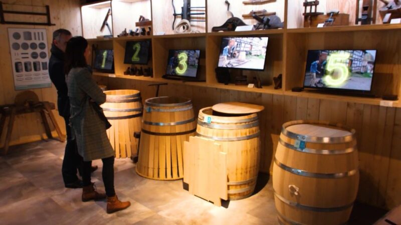 Colmar: Alsace Wine Museum Entrance Ticket - Multilingual Audioguide and Tour Options