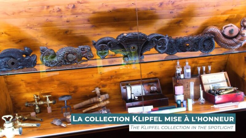 Colmar: Alsace Wine Museum Entrance Ticket - Accessibility and Amenities