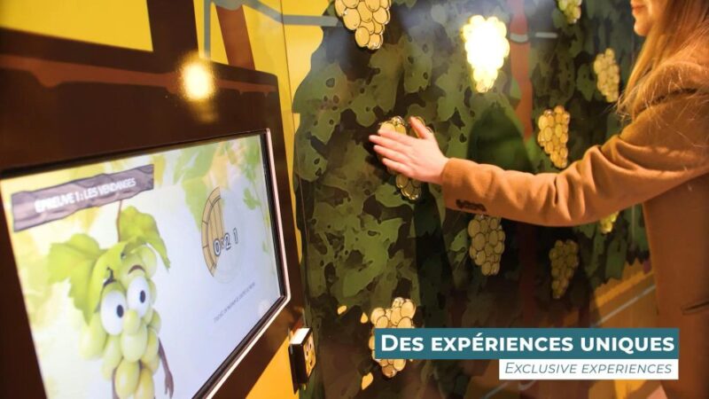 Colmar: Alsace Wine Museum Entrance Ticket - Plan Your Visit to the Alsace Wine Museum