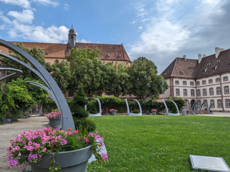 Colmar: Highlights Walking Tour and Wine Tasting - Learning About Alsace’s Wine Culture