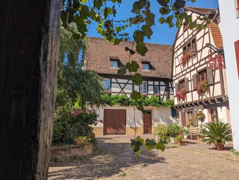 Colmar: Unusual Walking Tour with a local guide - Practical Details and Experience Quality