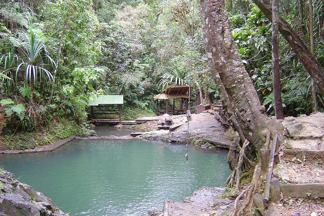 Colo-i-Suva Waterfall Tour (Suva) - Who Should Consider This Tour?