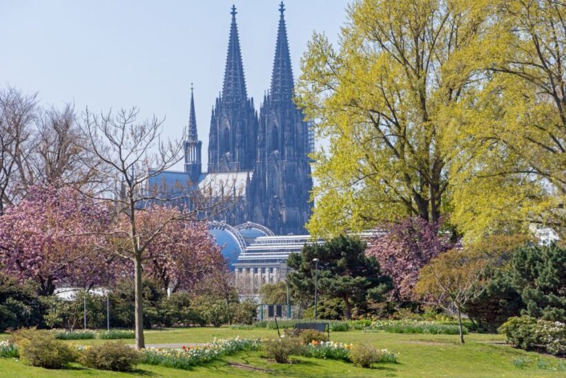 Cologne: City Highlights Segway Tour - Review Highlights & Authentic Traveller Insights