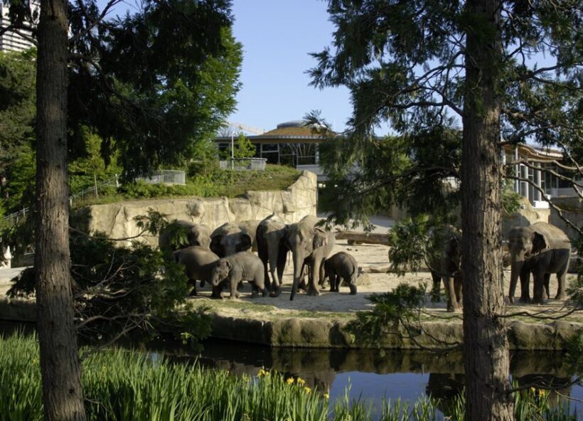 Cologne: Cologne Zoo and Aquarium Entry Ticket - An Overview of Cologne Zoo and Aquarium