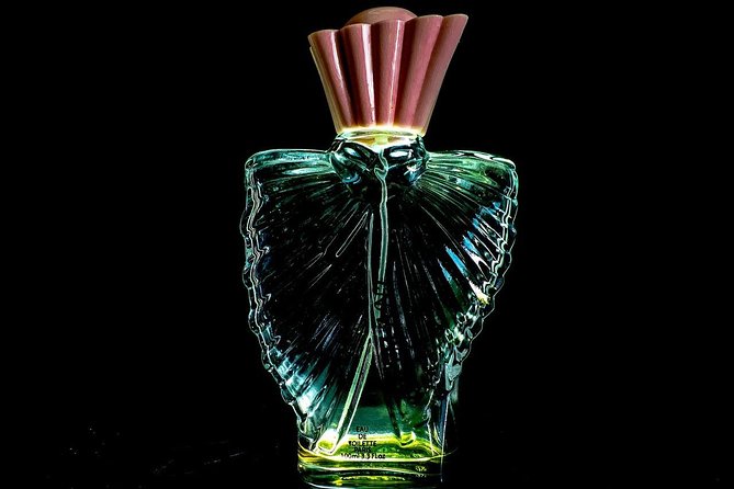 Cologne Private Full-Day Sightseeing Tour from Amsterdam - Who Will Love This Tour?