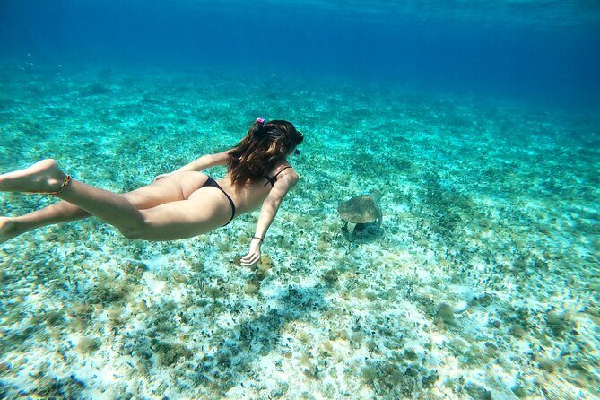 Colombia, Palancar & Cielo Cozumel Snorkel Tour - Who This Tour is Best For