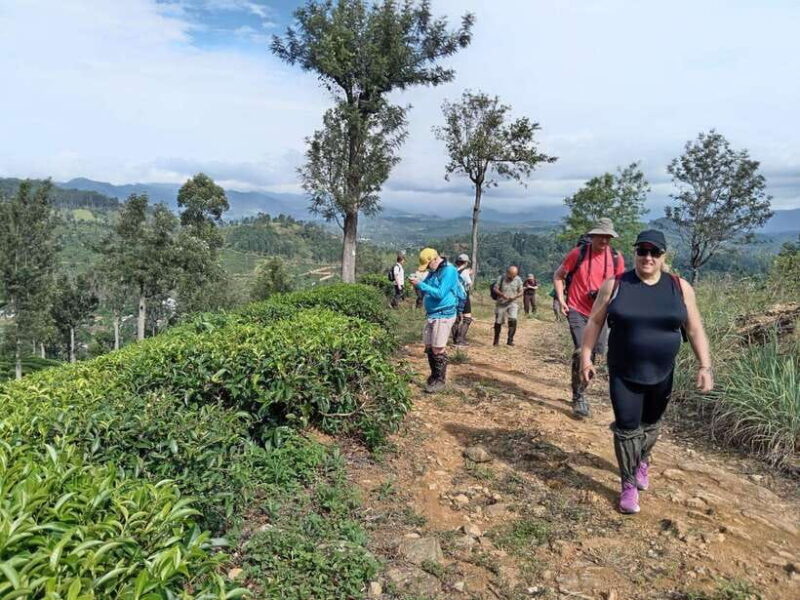 Colombo: 5-Day Hill Country Trekking Itinerary to Ella - Practical Considerations