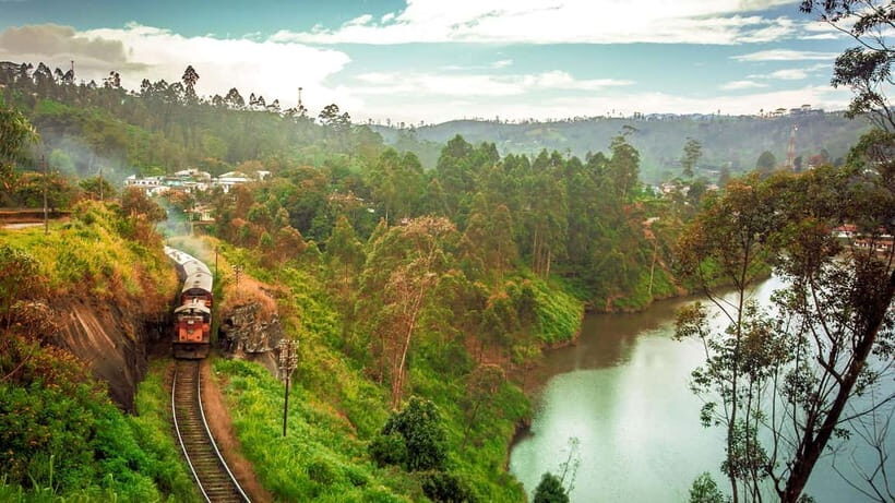 Colombo: All-Inclusive Scenic Train Journey To/From Ella - The Experience Provider