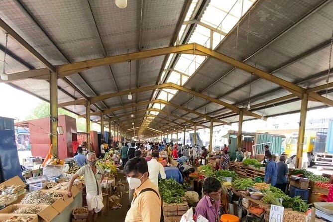 Colombo Bay Tuk Tuk City Tour - Transport & Timing