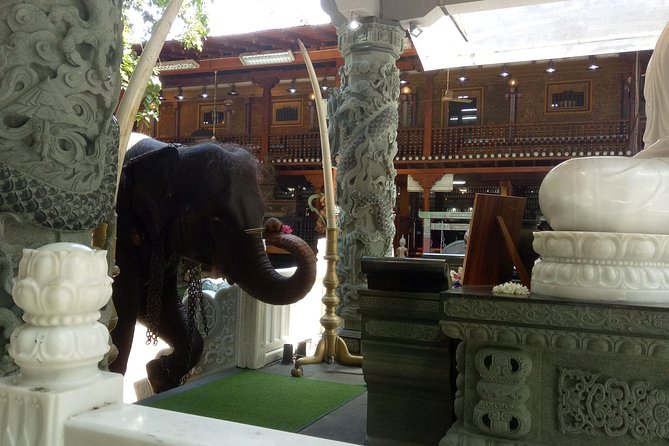 Colombo City Day Tour - FAQ