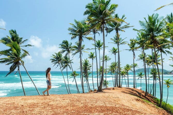 Colombo City Tour from Mount Lavinia - FAQ