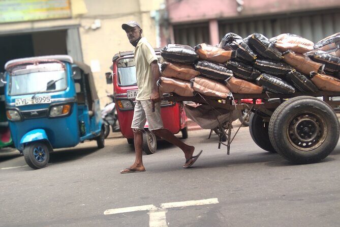 COLOMBO CITY Tour TUK Morning Evening (Private tour) - Relaxing in Nature