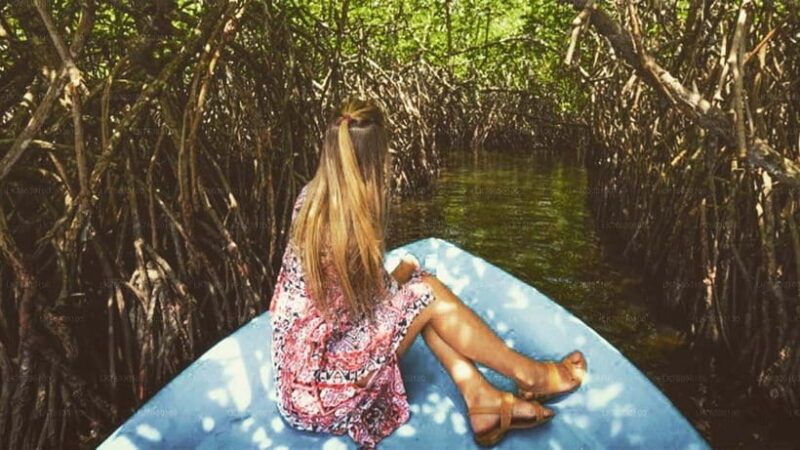 Colombo: Galle Dutch Fort and Hikkaduwa Beach Day Tour - Final Thoughts