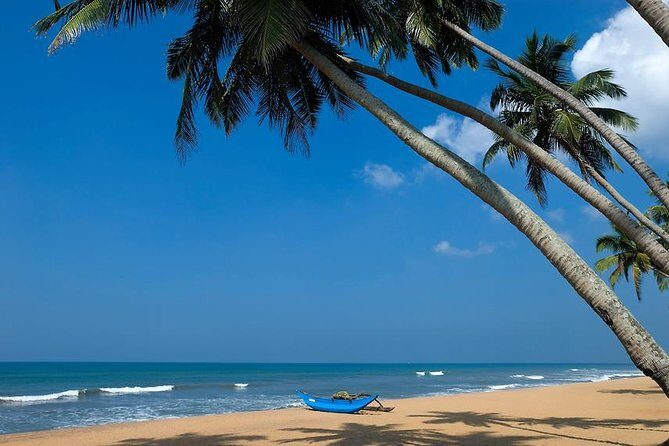 Colombo International Airport to Anywhere in Kalutara-Transport only - Why This Service Stands Out