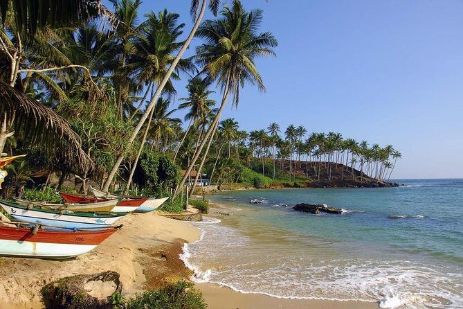 Colombo International Airport to Anywhere in Mirissa-Transport only - What You Need to Know About This Transfer