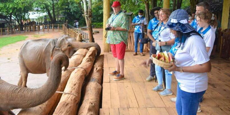 Colombo: Kandy and Pinnawala Orphanage Short Excursions - Key Points