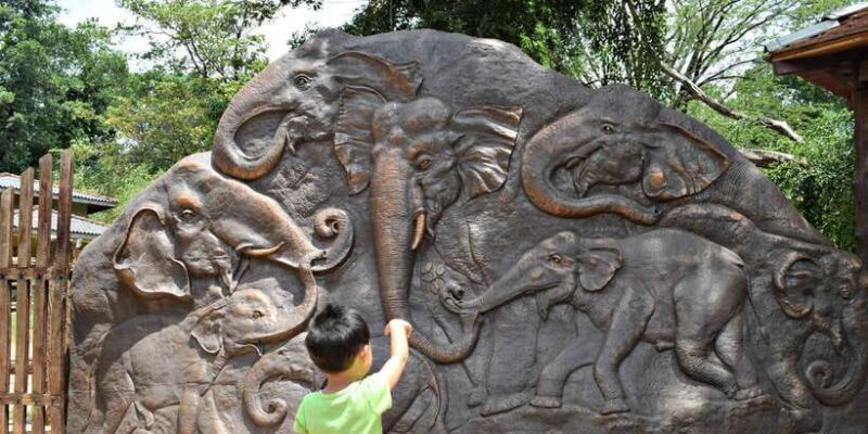 Colombo: Kandy and Pinnawala Orphanage Short Excursions - Practical Details and Value