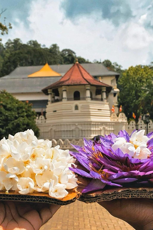 Colombo: Kandy and Pinnawala Orphanage Short Excursions - The Sum Up