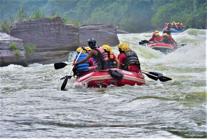 Colombo/ Negombo: Kithulgala White Water Rafting Adventure - The Practicalities and Value