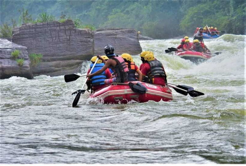 Colombo/ Negombo: Kithulgala White Water Rafting Adventure - Authentic Experiences and What Travelers Say