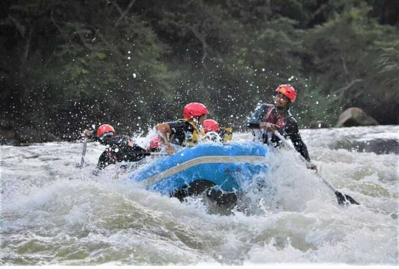 Colombo/ Negombo: Kithulgala White Water Rafting Adventure - FAQ