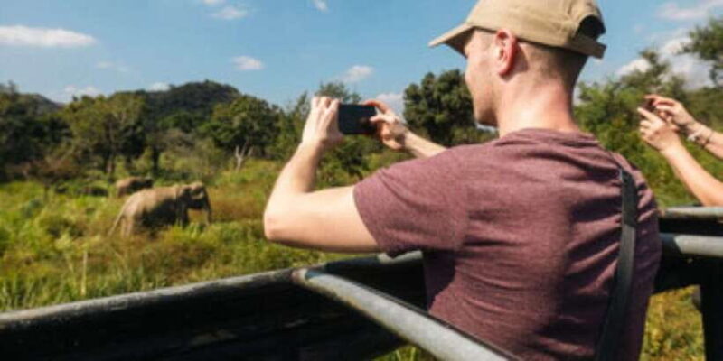 Colombo/Negombo: Sigiriya, Dambulla Cave, & Safari Day Tour - The Sum Up — Who Will Love This Tour?