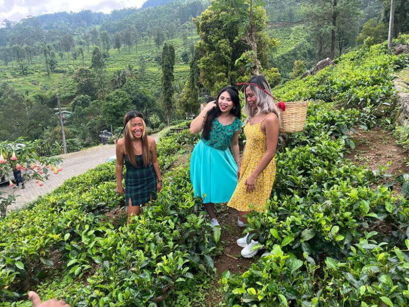 Colombo: Nuwara Eliya: Tea Gardens,Colonial Charm & High Tea - Exploring Nuwara Eliya’s Tea Estates and Factory