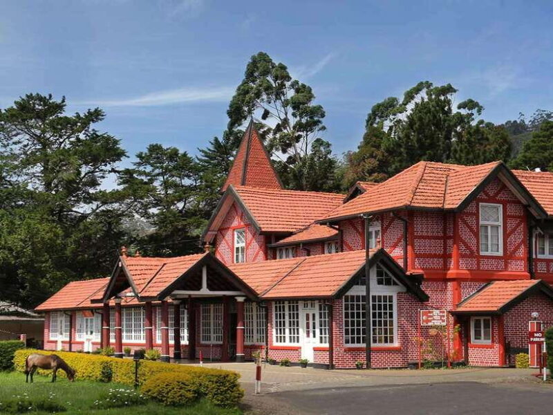 Colombo: Nuwara Eliya: Tea Gardens,Colonial Charm & High Tea - Gregory Lake: Serenity and Optional Activities