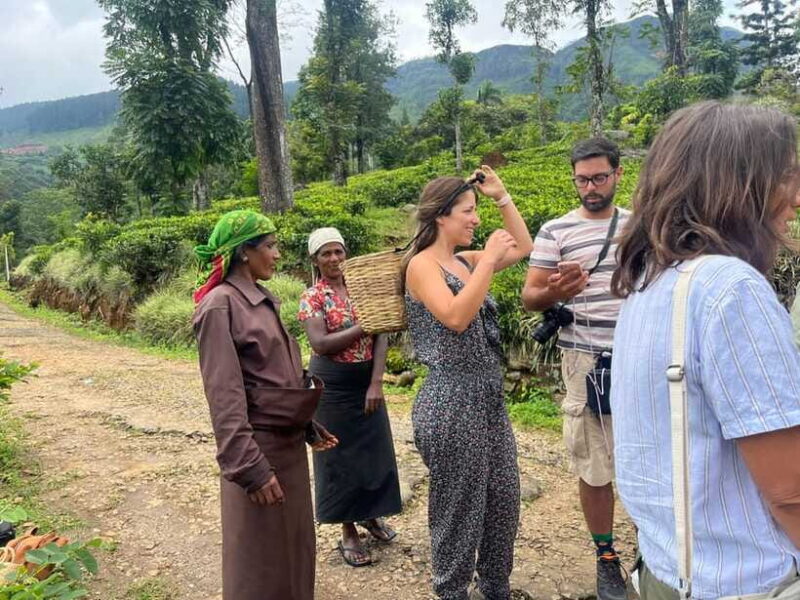 Colombo: Nuwara Eliya: Tea Gardens,Colonial Charm & High Tea - High Tea at The Grand Hotel: A Touch of Elegance