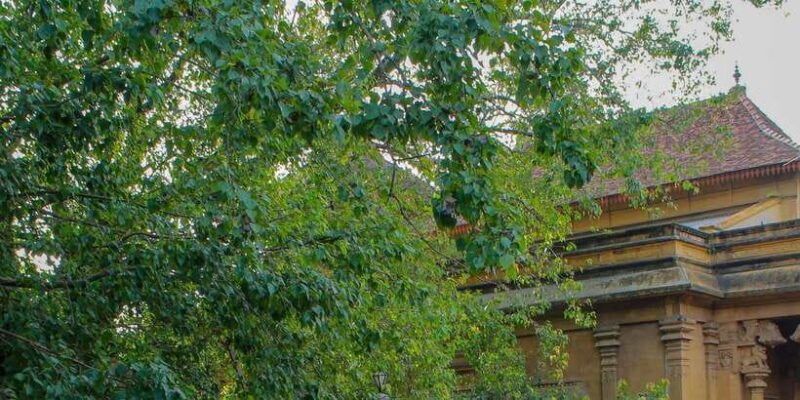 Colombo Port Shore Excursions Colombo City & Kalaniya Temple - The Practicalities and What You Need to Know