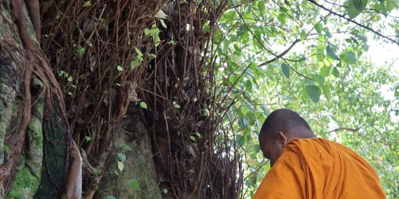 Colombo Port Shore Excursions Colombo City & Kalaniya Temple - Authenticity and Value for Money