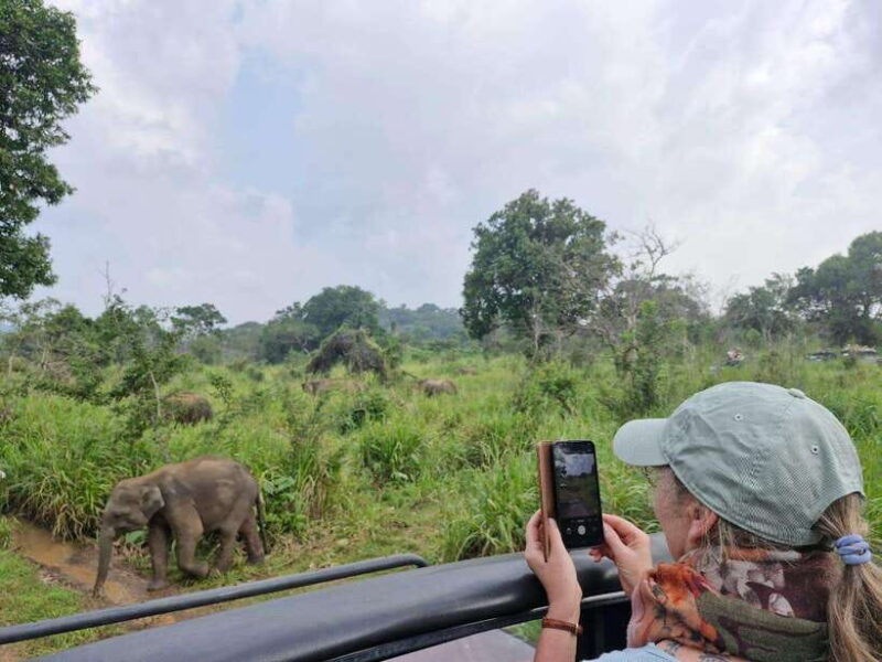 Colombo: Private 4-Day Tour to Sigiriya, Nuwara Eliya, Yala - What Travelers Say