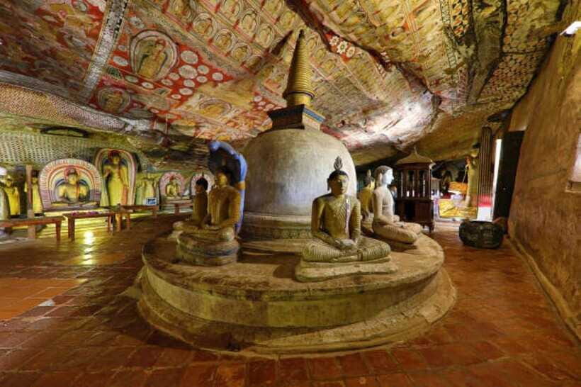 Colombo: Sigiriya, Dambulla Caves, & Wildlife Day Tour - Who Will Love This Tour?