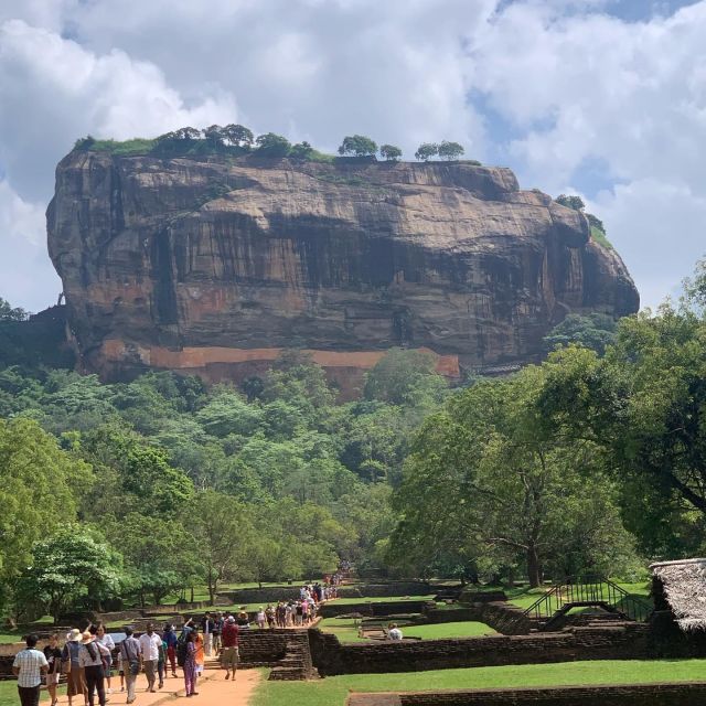 Colombo: Sigiriya Rock Dambulla and Minneriya National Park - Who Will Love This Tour?