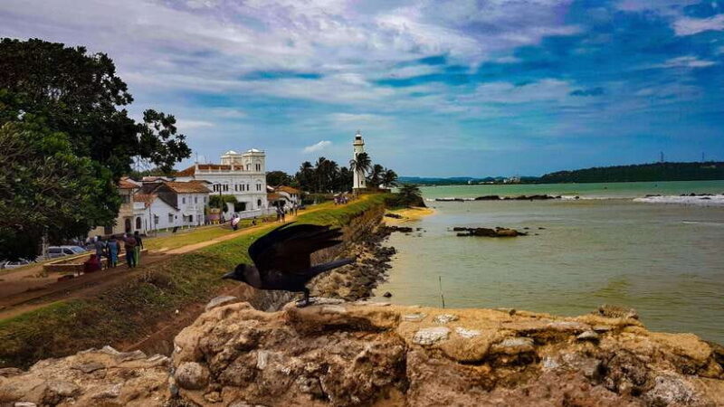 Colombo: Southern Sri Lanka and Hill Country 3 Days Tour - What We Think About the Experience