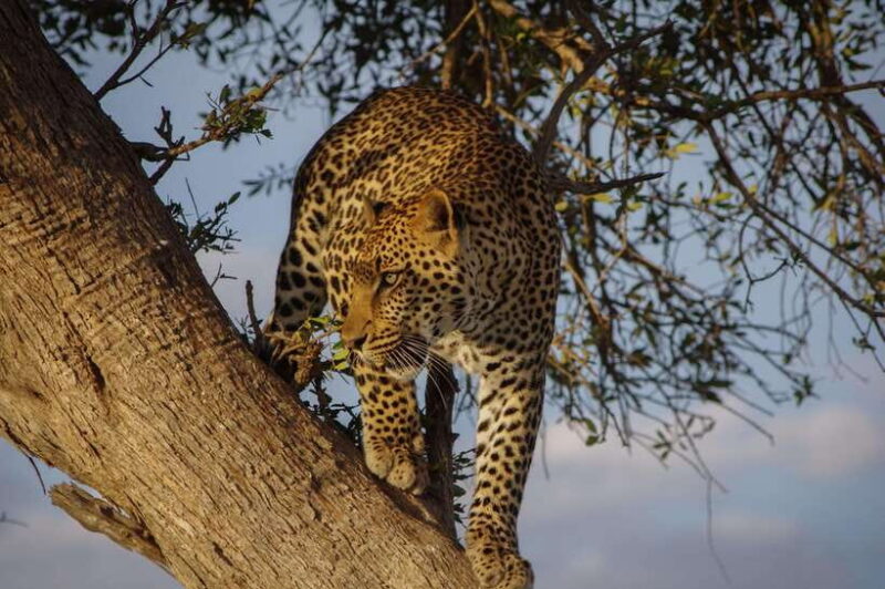 Colombo: Southern Sri Lanka and Hill Country 3 Days Tour - Final Thoughts