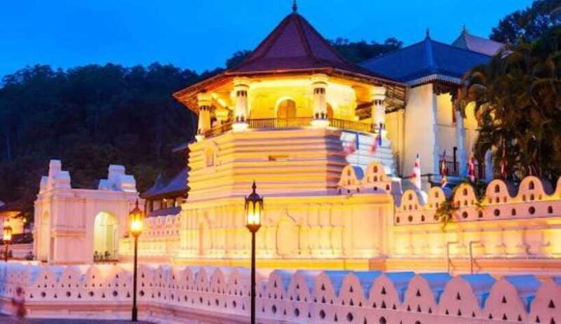 Colombo to Kandy, Pinnawela and Tea Factory Day Tour - Who Is This Tour Best Suited For?