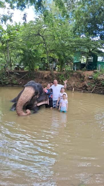 Colombo To Pinnawala & Kandy Luxury Day Tour by Car/Van/Bus - Key Points