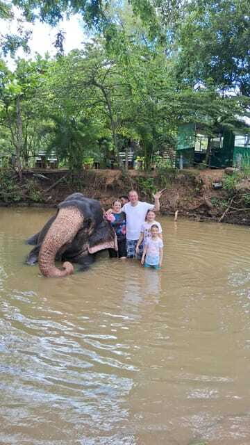 Colombo To Pinnawala & Kandy Luxury Day Tour by Car/Van/Bus - Final Thoughts