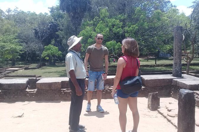 Colombo to polonnaruwa ancient city visit and safari - Analyzing the Value