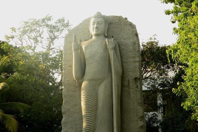 Colombo to Sigiriya Transfer - Final Thoughts: Is It Worth It?