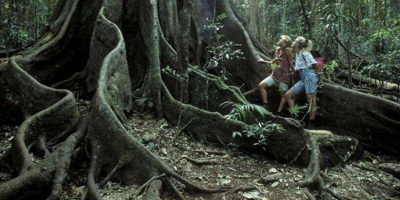 Colombo: Water rafting, Bird Watching, Village & Rainforest - Key Points