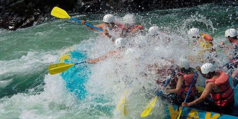 Colombo: Water rafting, Bird Watching, Village & Rainforest - Bird Watching: A Feathered Delight