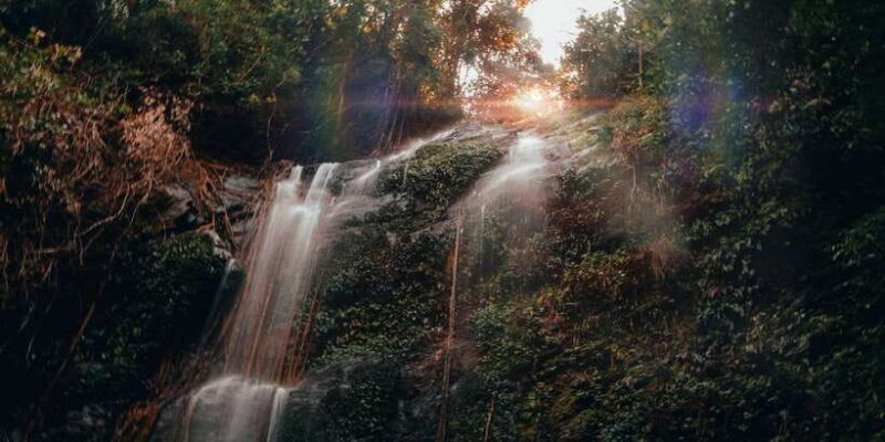 Colombo: Water rafting, Bird Watching, Village & Rainforest - Logistics and Practical Considerations