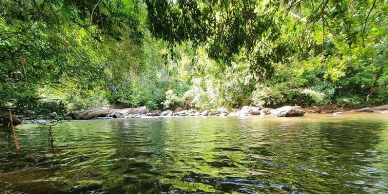 Colombo: Water rafting, Bird Watching, Village & Rainforest - FAQs