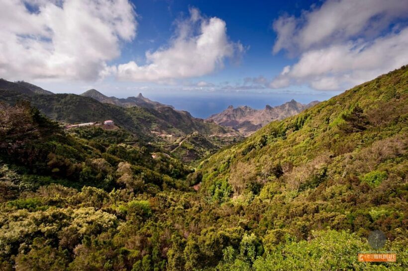 Colon Weekend Skies - Who Should Consider This Tour?