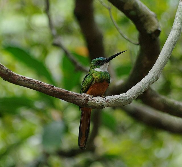 Colonial North Coast beaches - Full-Day Tour - FAQ