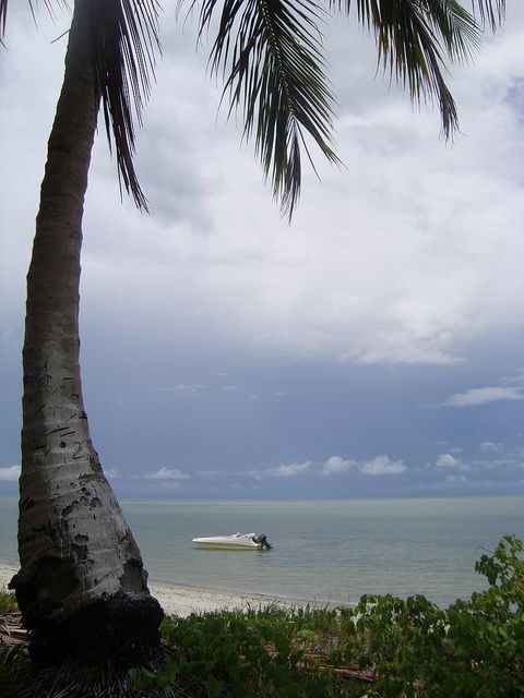 Colonial North Coast beaches - Full-Day Tour - Who Should Consider This Tour?