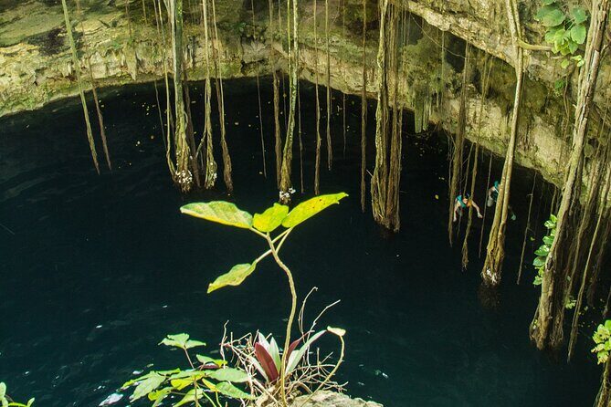 Colonial Valladolid and Cenote Swimming Private Tour from Cancun - Analyzing the Value