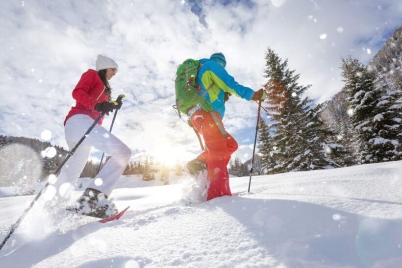 Colorado Backcountry: Guided Snowshoe Tour - Authenticity and Personalization